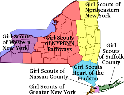 Is This The Future of New York BSA Councils? | New York OA Trader